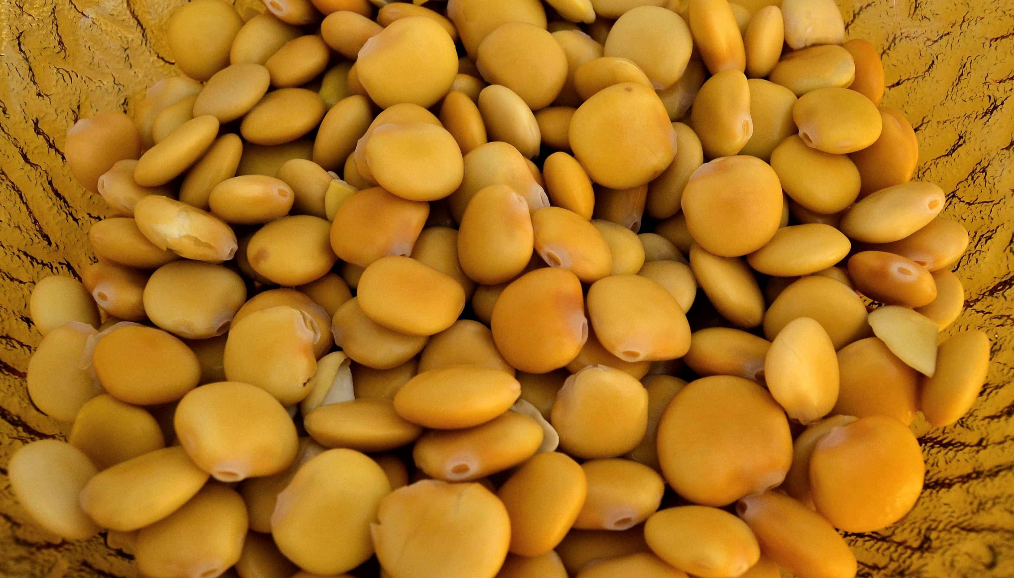 Lupini:Combattono diabete,colesterolo,fanno bene al cuore