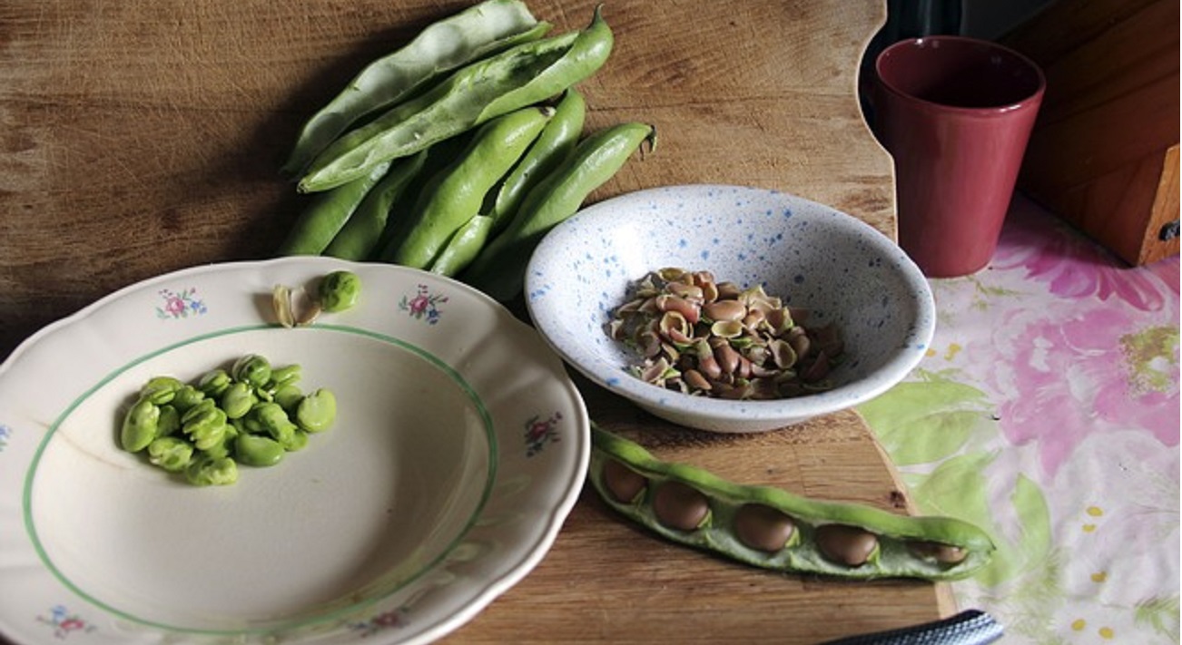 Fave: valori nutrizionali, proprietà e calorie di questo legume