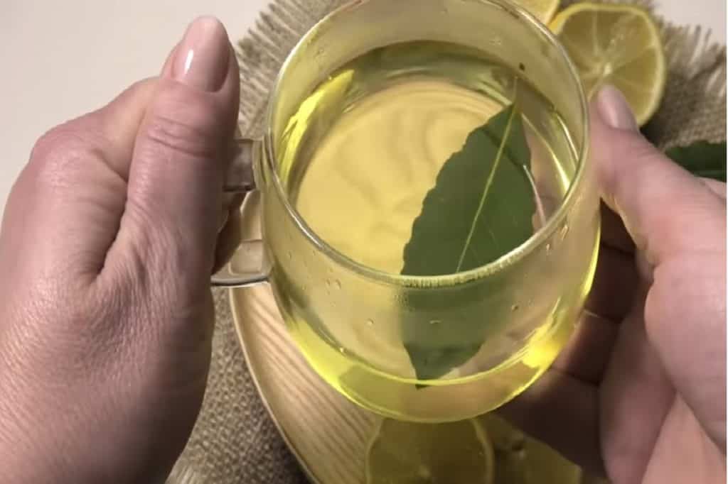 Come fare la tisana canarino: la bevanda digestiva per eccellenza per ...