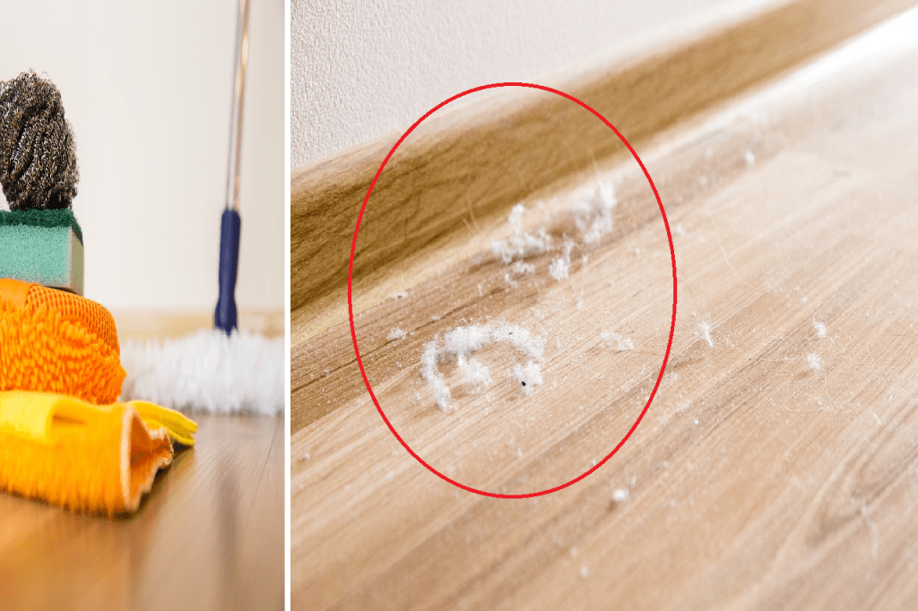 Basta spendere soldi in prodotti e strofinacci vari: cosa usare per ...